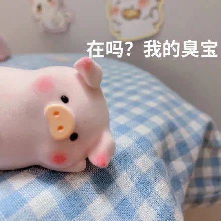 lulu猪 堆糖美图壁纸兴趣社区