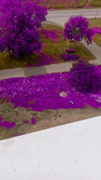 Солнышко проснулось новый день на дворе🤣 Youtube