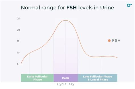 What Do Fsh Hormone Values Mean Inito