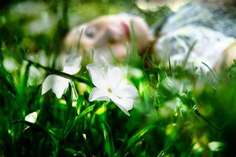 Tutorial Adding Overlay Textures In GIMP GIMP Discuss Pixls Us