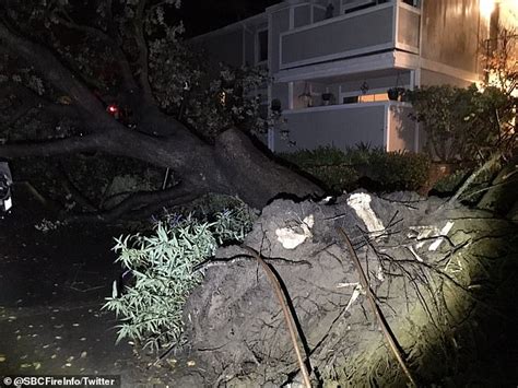 Rare California Tornado Touches Down In Santa Barbara Rips Up Trees