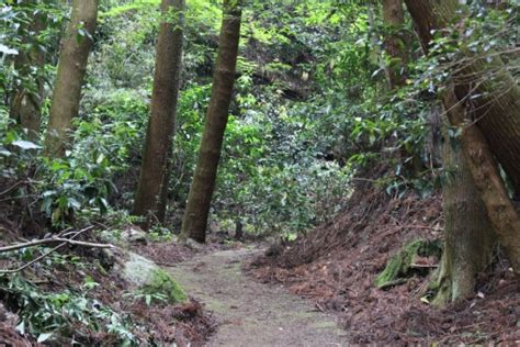 獣道の写真素材写真素材なら写真AC無料フリーダウンロードOK