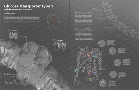 Molecularvisualization — Elmira Amini Visuals