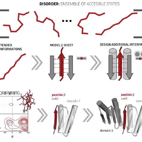 Design Approach For Binding Disordered Protein Fragments A Download Scientific Diagram