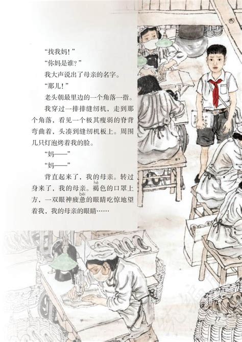 《慈母情深》课文 五年级上册电子课本 汉查查