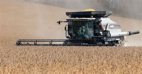 Soybean Nutrient Management In Western Minnesota What To Know About Recent Research