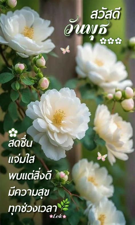 สวัสดี วัน พุธ ในปี 2023 วันพุธ ฝันดีราตรีสวัสดิ์ สวัสดีตอนเช้า