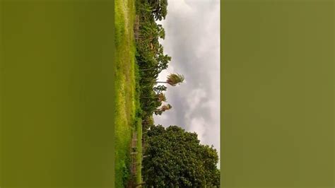 জাস্ট আ্যমাজিং Youtube