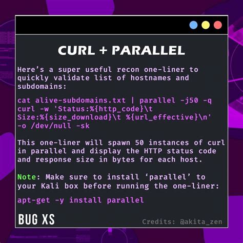 Bug Xs On Linkedin Bugbounty Cybersecurity Ethicalhacking Infosec