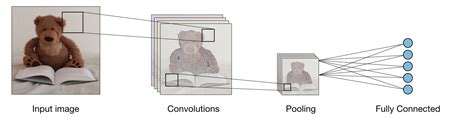 Everything About Pooling Layers And Different Types Of Pooling