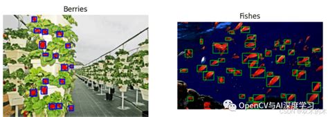 Opencv与ai深度学习 手把手教你用python和opencv搭建一个半自动标注工具（详细步骤 源码）opencv标注工具 Csdn博客