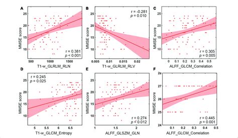 Correlation Analysis Between Mmse Scales And Textural Features A