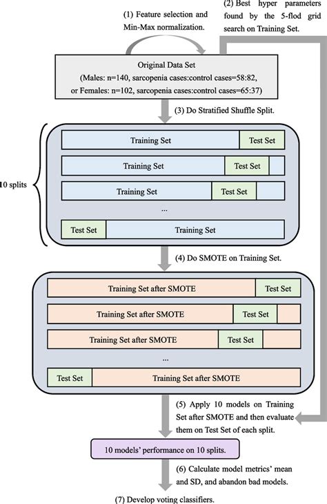 The Complete Process Of Sarcopenia Classifier Development Download