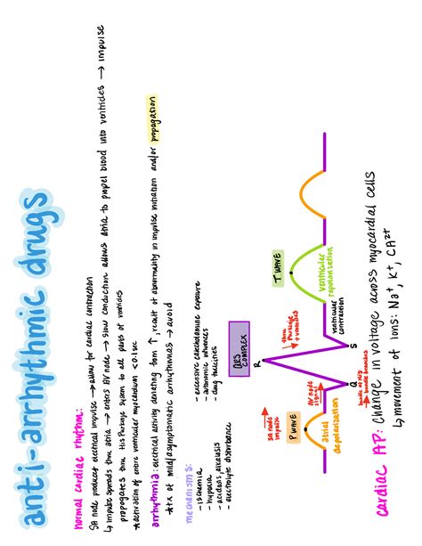 Anti Arrhythmia Drugs And Classes 102 Studocu