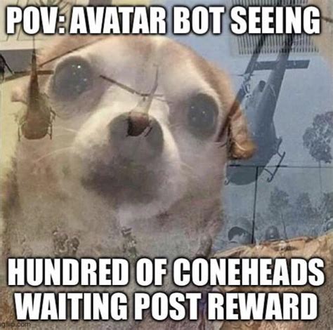 What Avatar Bot Sees Everyday R Coneheads