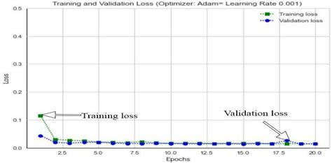 Loss Of Validation And Testing Using Adam Lr 0001 Download