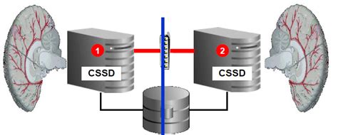 oracle rac node evictions — top common causes and factors oracle dba