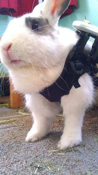 Windows Installation Unattend Xml R Sysadmin