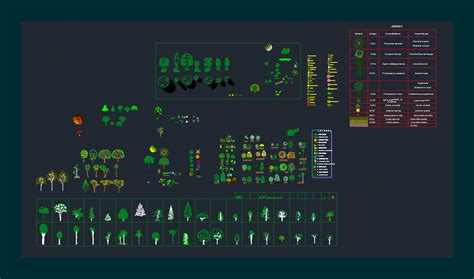 Trees DWG Plan For AutoCAD Designs CAD