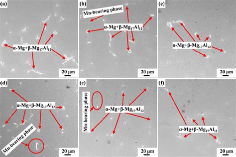 Microstructure Of Mgsfs Prepared By Al2o3 Hs Coated With Mgcl2 Download Scientific Diagram