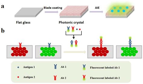 Aiegens Doped Photonic Crystals For High Sensitivity Fluorescence Detection Of Tumor Markers