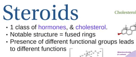 Honors Biology Unit 2 Macromolecules Quiz Flashcards Quizlet