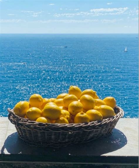 საბავშვო ტანსაცმელი ფასდაკლება💫 65 ლარი S M Facebook