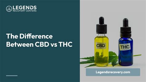 The Difference Between Cbd Vs Thc