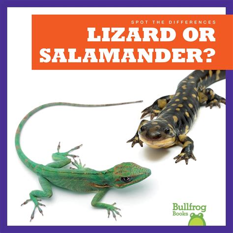 Lizard Or Salamander Bullfrog Books Spot The Differences