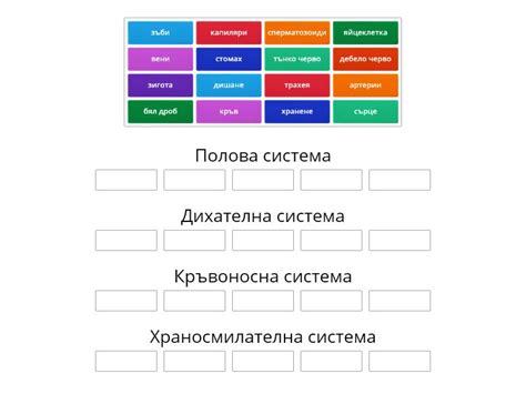 Структура и жизнени процеси при организмите Group Sort