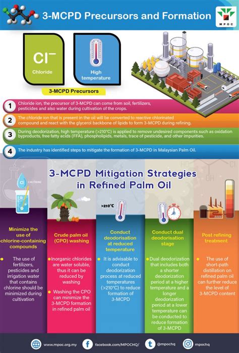 3 Mcpd Precursors And Formation Mpoc