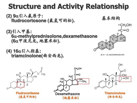 Ppt Drugs Affecting Endocrine System Powerpoint Presentation Free Download Id4430892