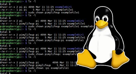 The Basics Of The Chown Command Pi My Life Up