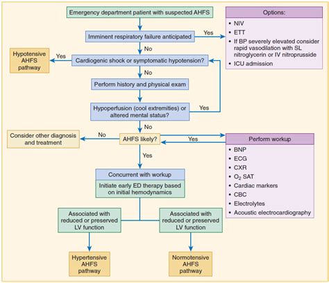 [臨床藥學] 急性心臟衰竭處理流程 附報告用大圖 Nejs