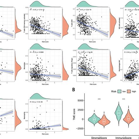 Immune Landscape Between Low And High Risk Groups A The Download Scientific Diagram