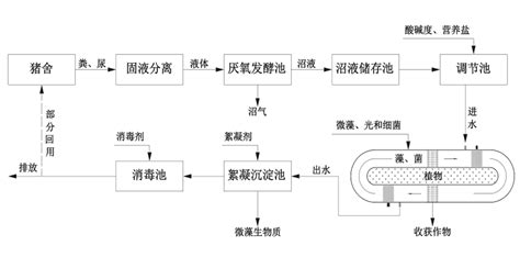 2019实用技术 畜禽养殖废水光生物反应生态处理技术 知乎