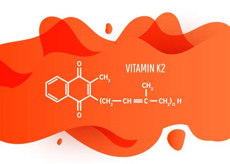20 Fermentation Equation Stock Illustrations Royalty Free Vector