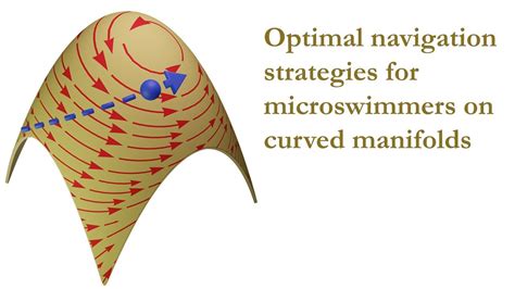 Optimal Navigation Strategies For Microswimmers On Curved Manifolds Youtube