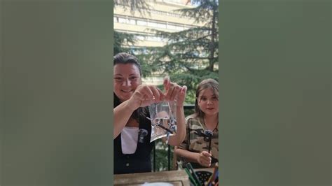 ექსპერიმენტი Youtube