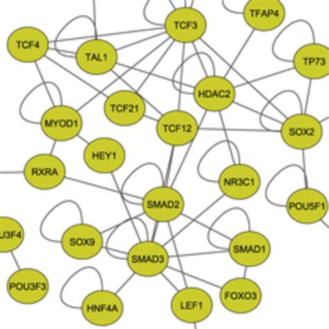 Xiaoning Zhang Researcher Phd Indiana University Purdue University Indianapolis In
