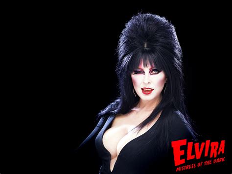 Elvira Mistress Of The Dark Wallpaper Wallpapersafari