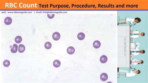 RBC Count Test Procedure Lab Tests Guide