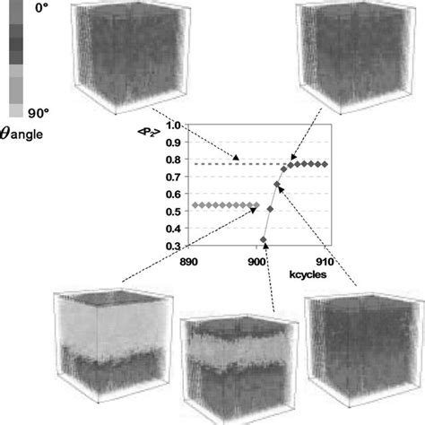Snapshots Of The Molecular Organization As Obtained From The Monte Download Scientific Diagram