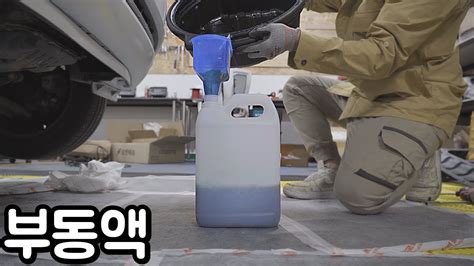 네이버 인플루언서