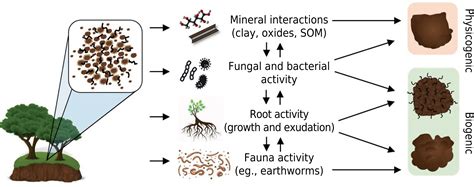 Soil Aggregates