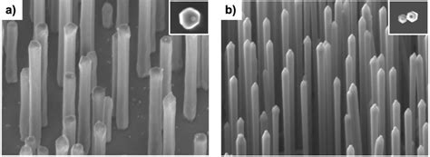 A B FE SEM Micrographs Tilted View Same Magnification Showing Download Scientific