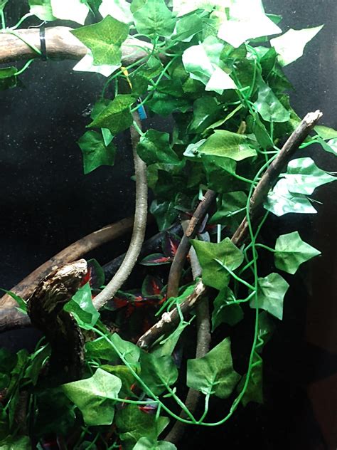 Arduino Controlled Chameleon Habitat Arduino Uno Dht11 And 3 Relays