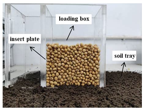 Processes Free Full Text Test And Simulation Analysis Of Soybean