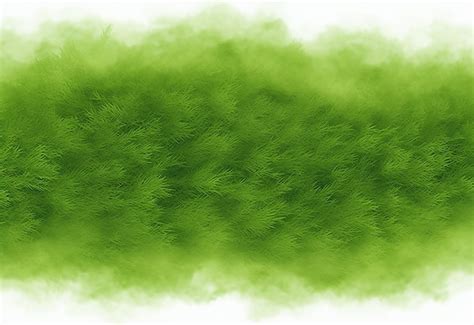 Premium Photo Refreshing Green Grass Texture Background