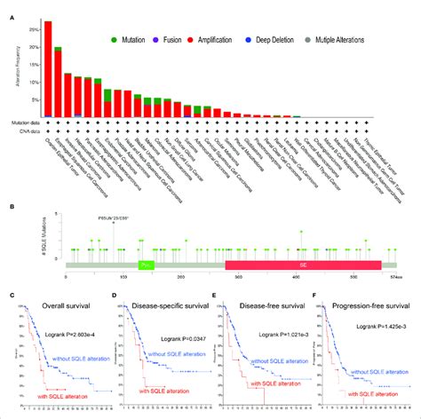 Mutation Characteristics Of Sqle Determined Using The Cbioportal Download Scientific Diagram